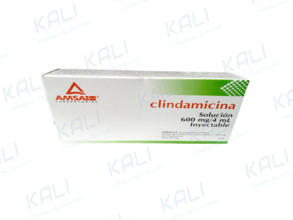 CLINDAMICINA 600MG/4ML C/1 AMP (AMSA) - Kali Comercializadora