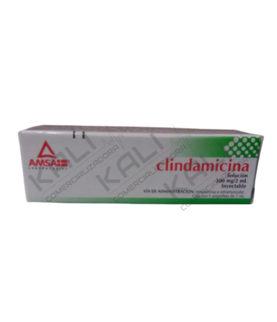 CLINDAMICINA 300MG/2ML C/1 AMP (AMSA) - Kali Comercializadora