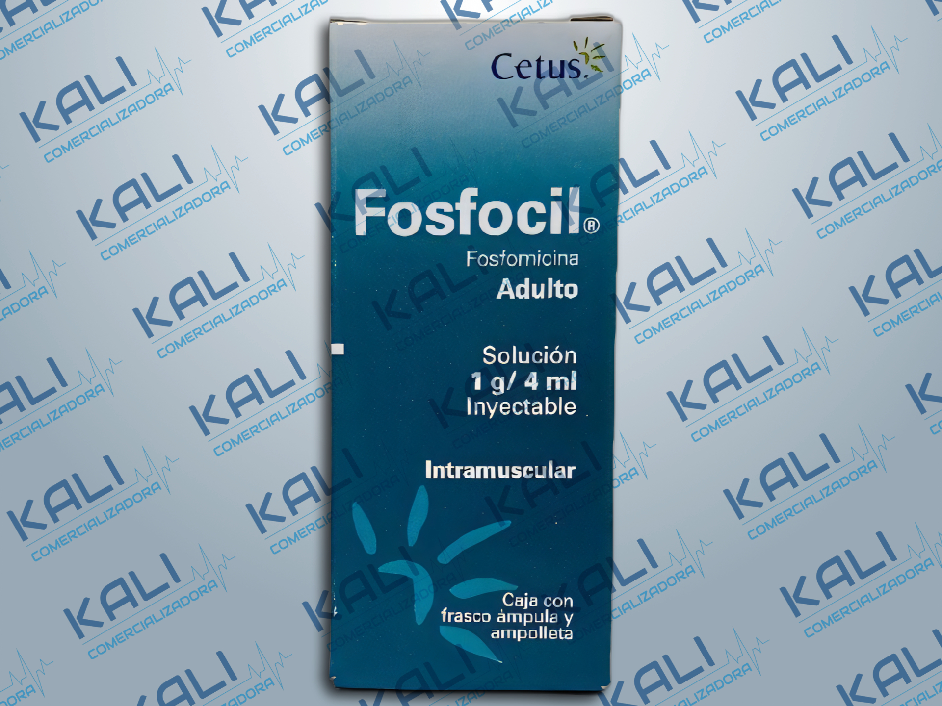FOSFOCIL IM 1G/4ML FCO SOL INY (FOSFOMICINA DISODICA) - Kali ...